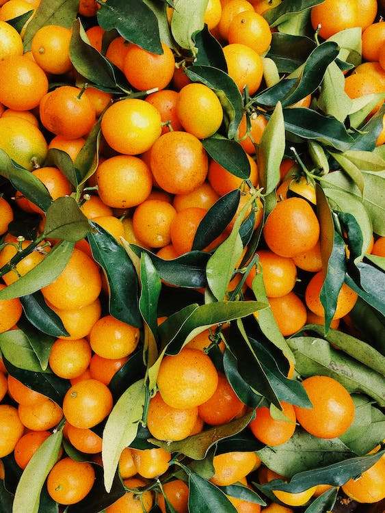 What are the Different Types of Orange Juice and Oranges? - Pancakes ...